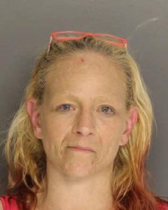 Berkeley County Mugshots: June 16-18 Arrests | The Berkeley Observer