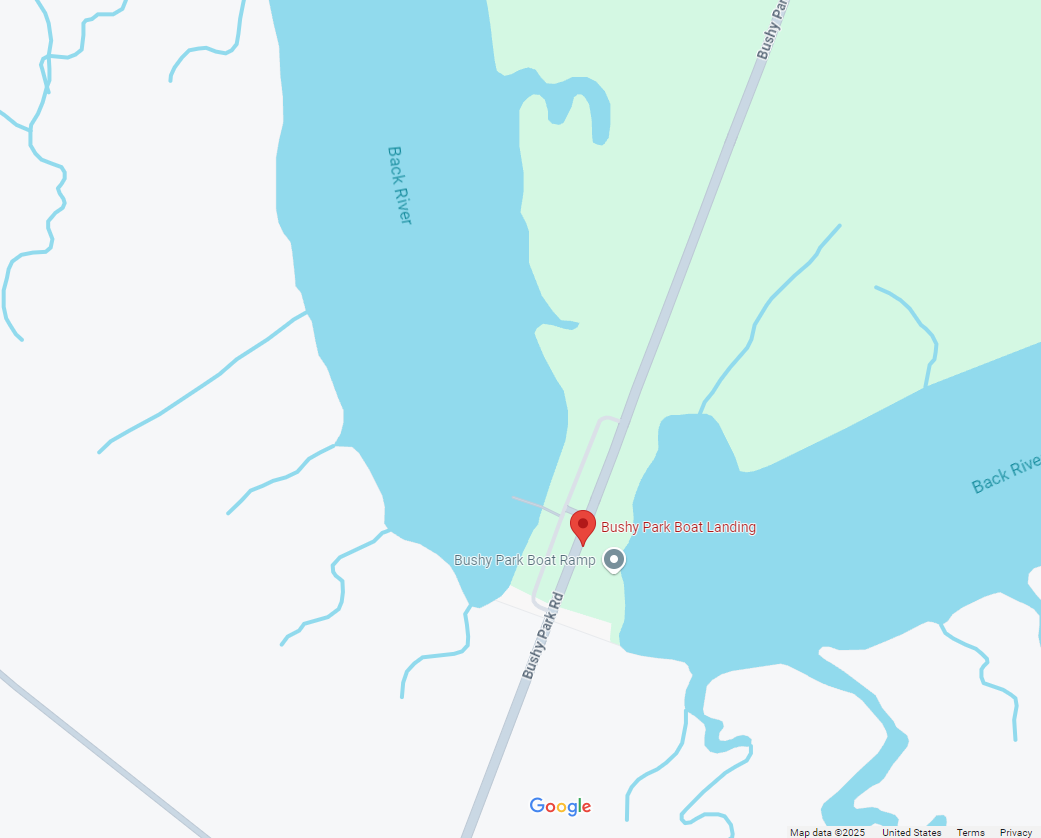 Bushy Park Boat Landing Reopens After Emergency Response in Goose Creek ...